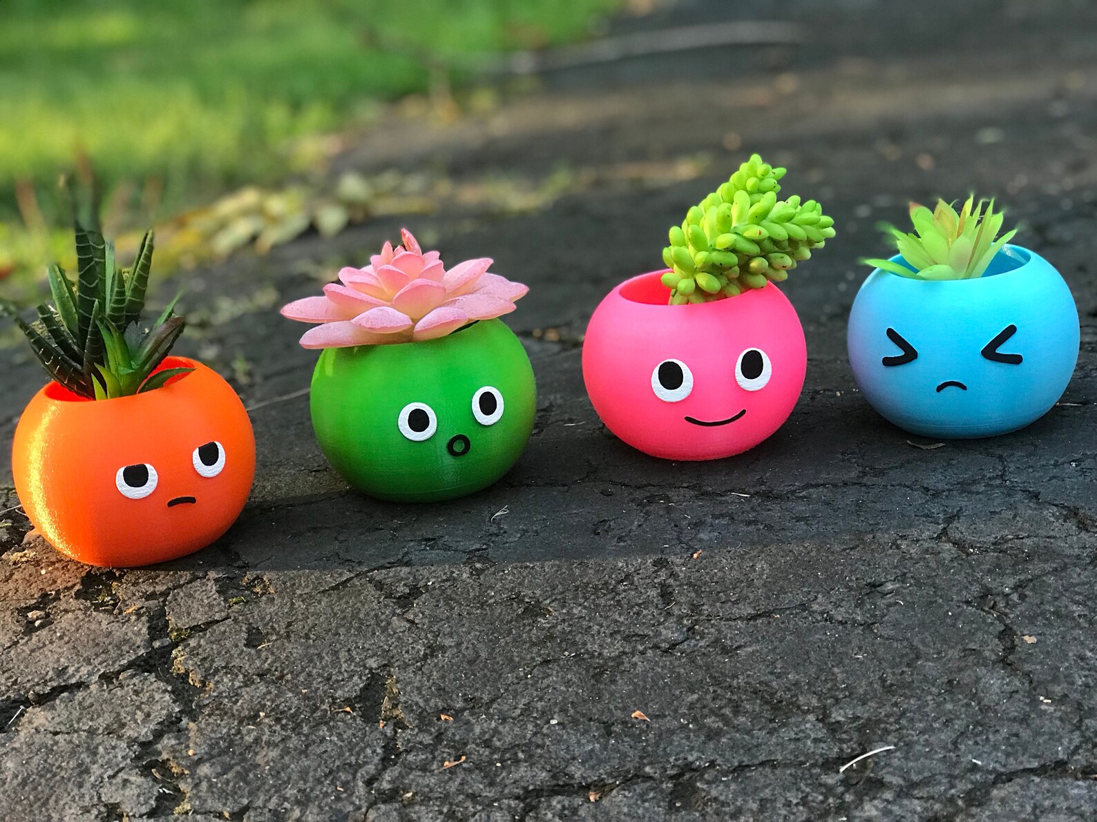 Puff Planter, Smiley Face, Father’s Day Gift, Surprised Face, Plant Dad ...