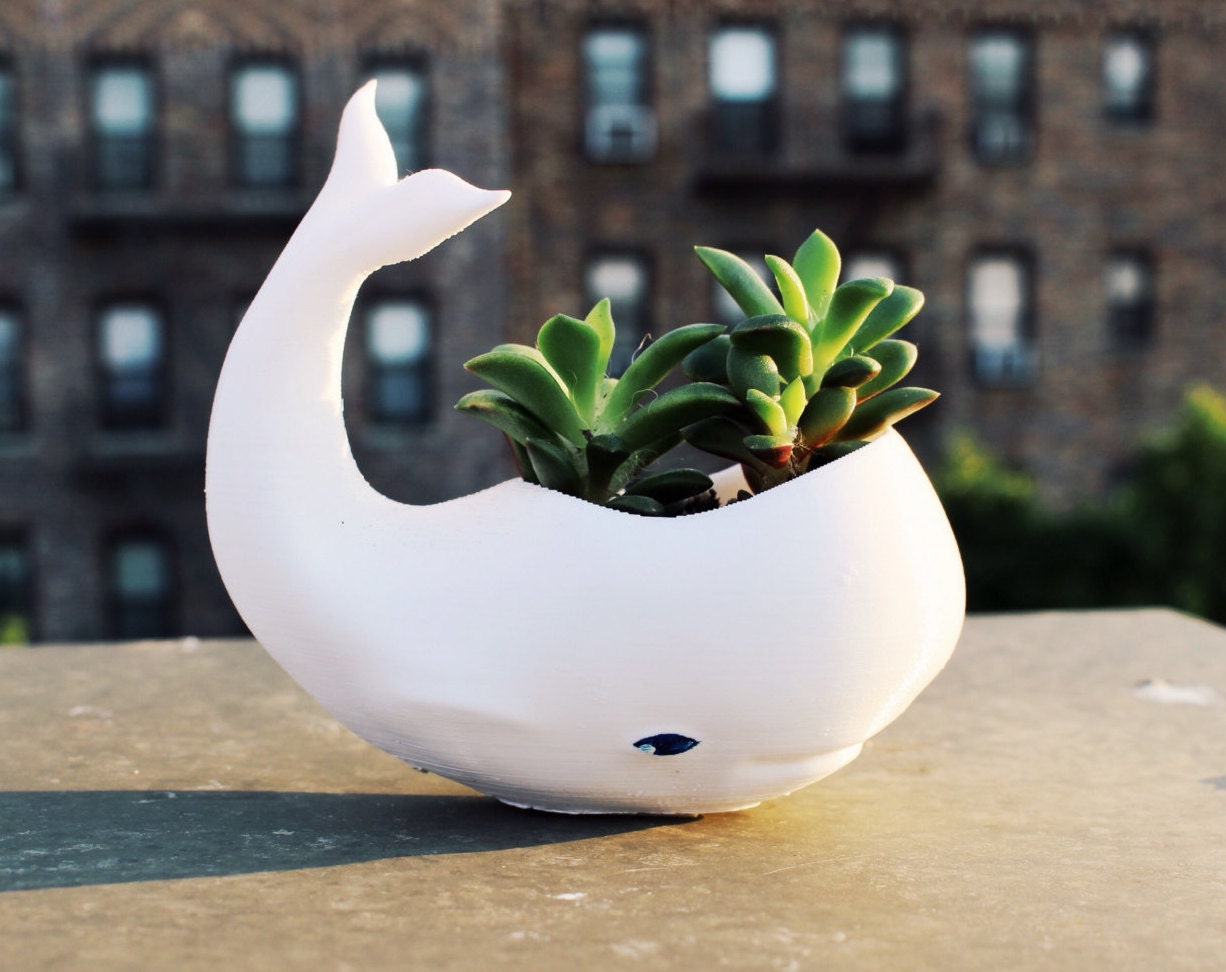 Whale Planter, Whale Decor, Whale Planter Pot, Air Plant Holder, Plant ...