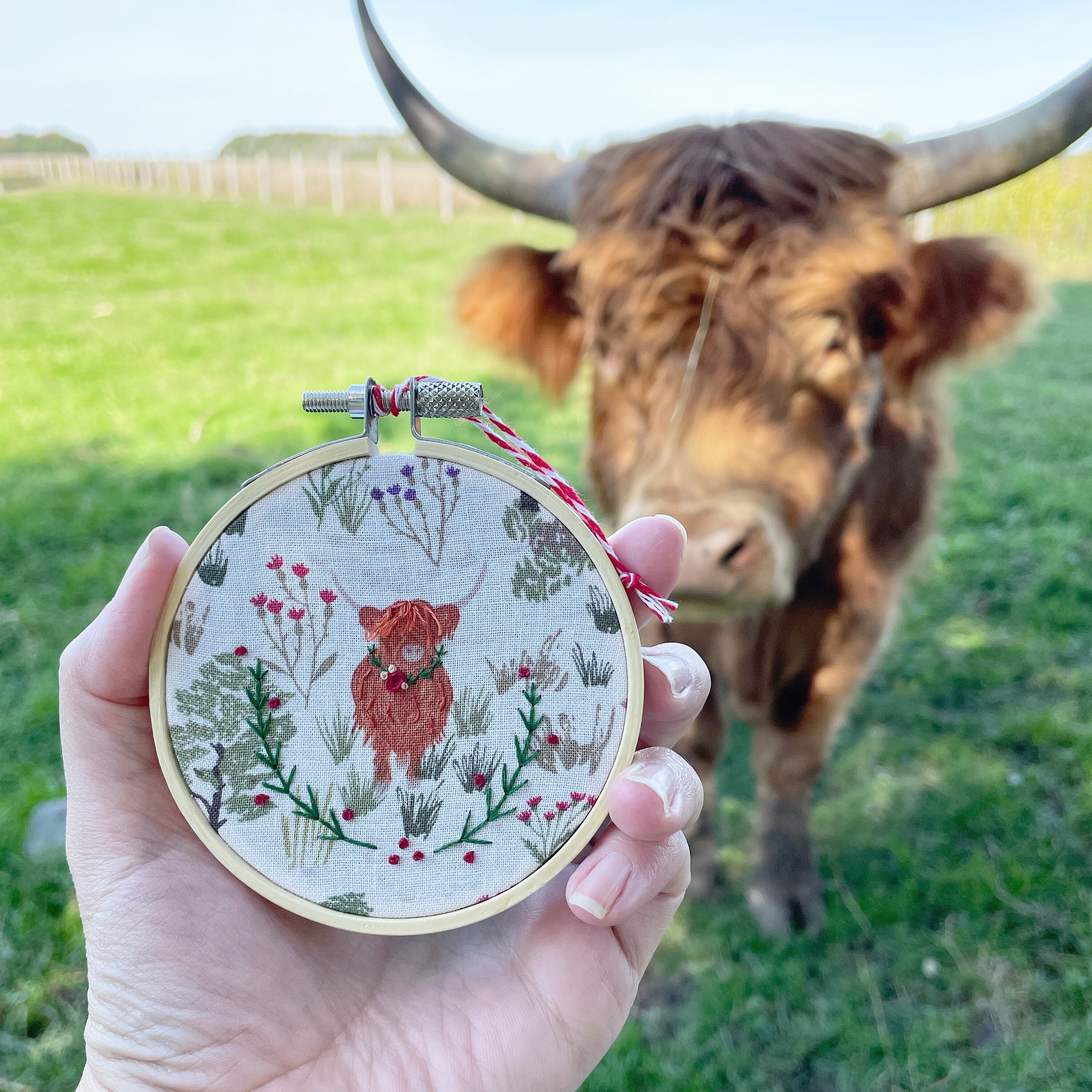 3” Highland Cow Hoop Ornament - Etsy Canada