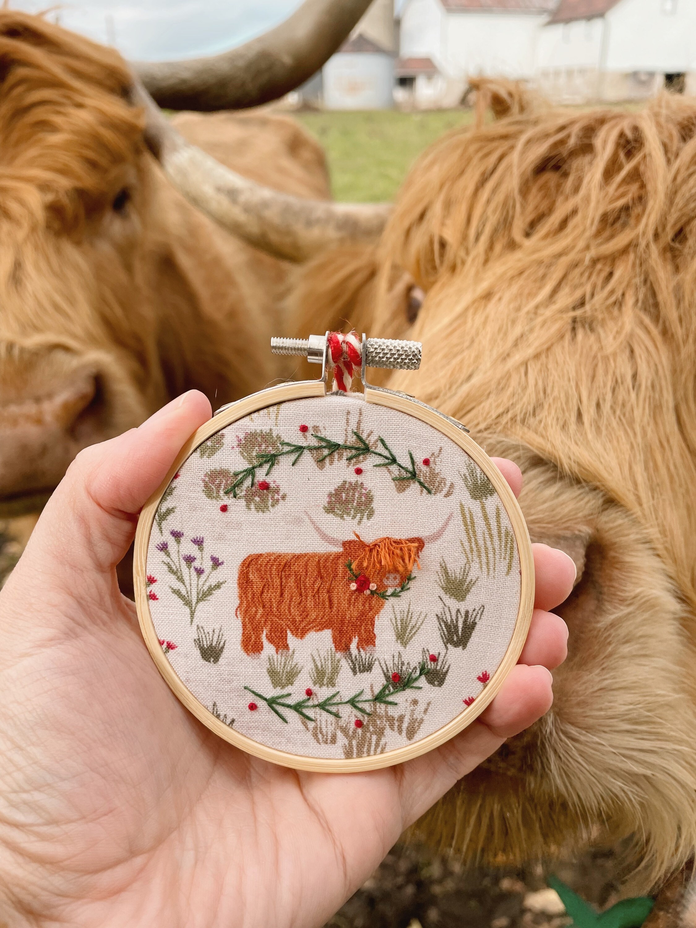 3” Highland Cow Hoop Ornament - Etsy Canada