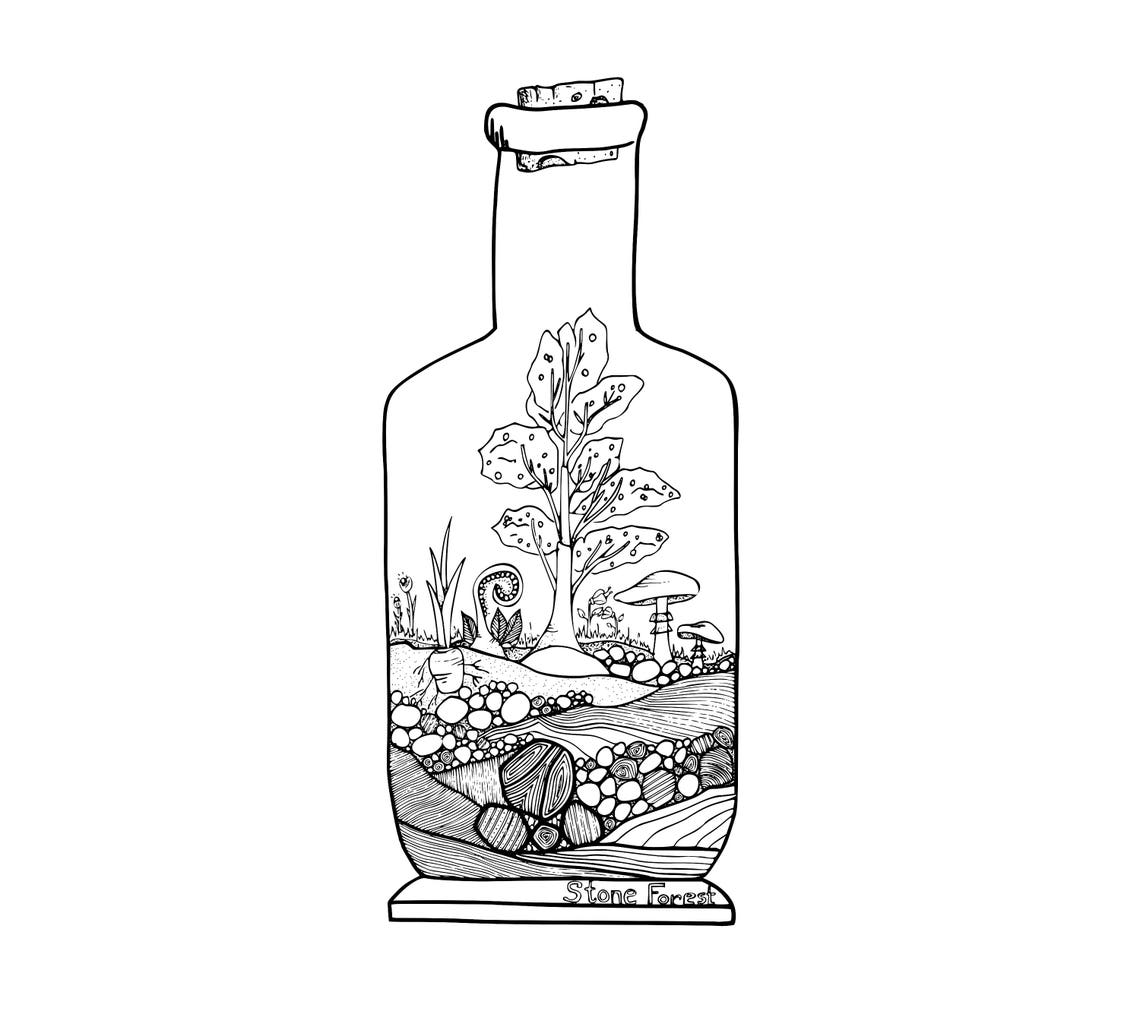 Terrarium Coloring Page Coloring Coloring Pages