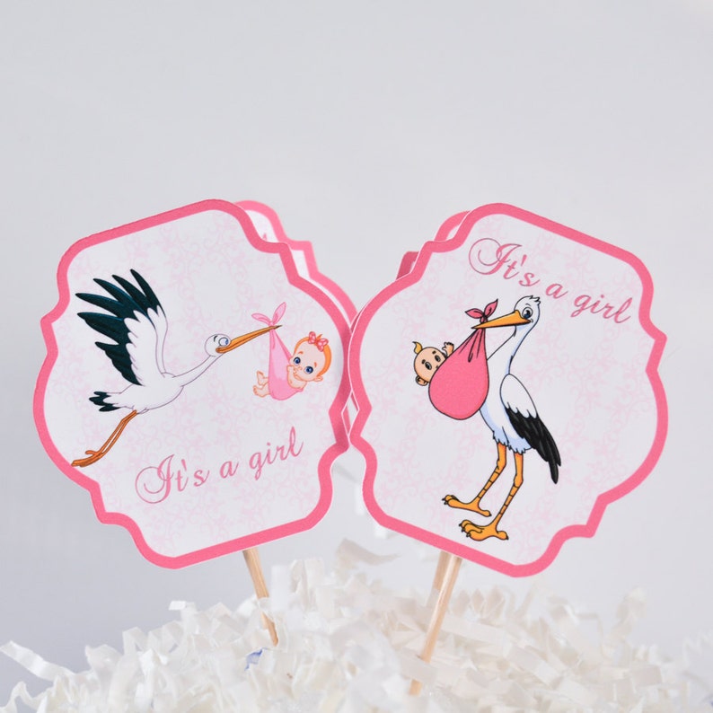 Girl Stork Baby Shower Party Supplies Girl Stork Cake - Etsy