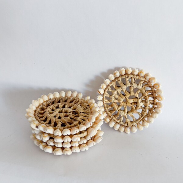 Shell Coasters - Etsy