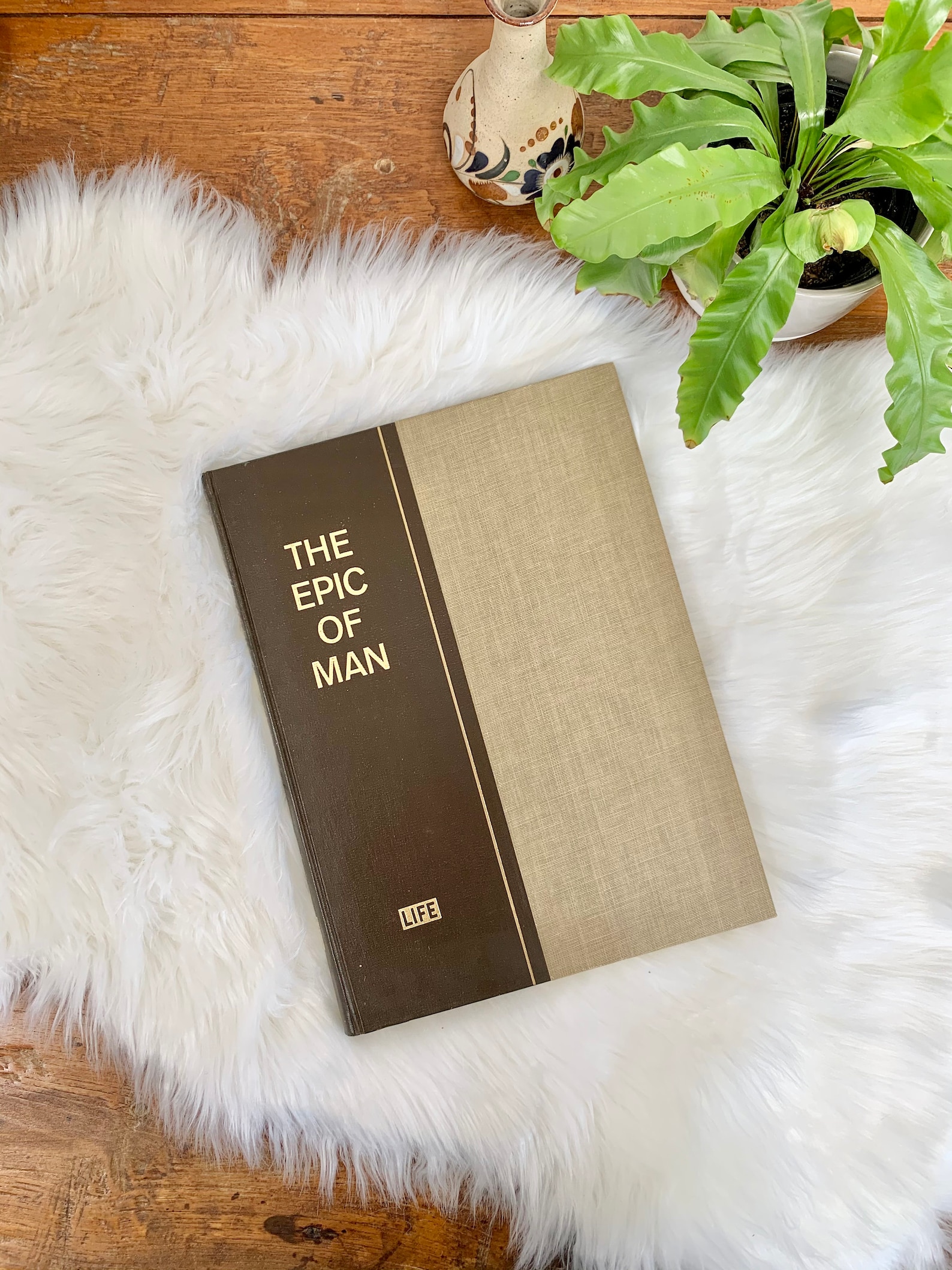 1961 the Epic of Man Book Natural History Book 1960s Book - Etsy