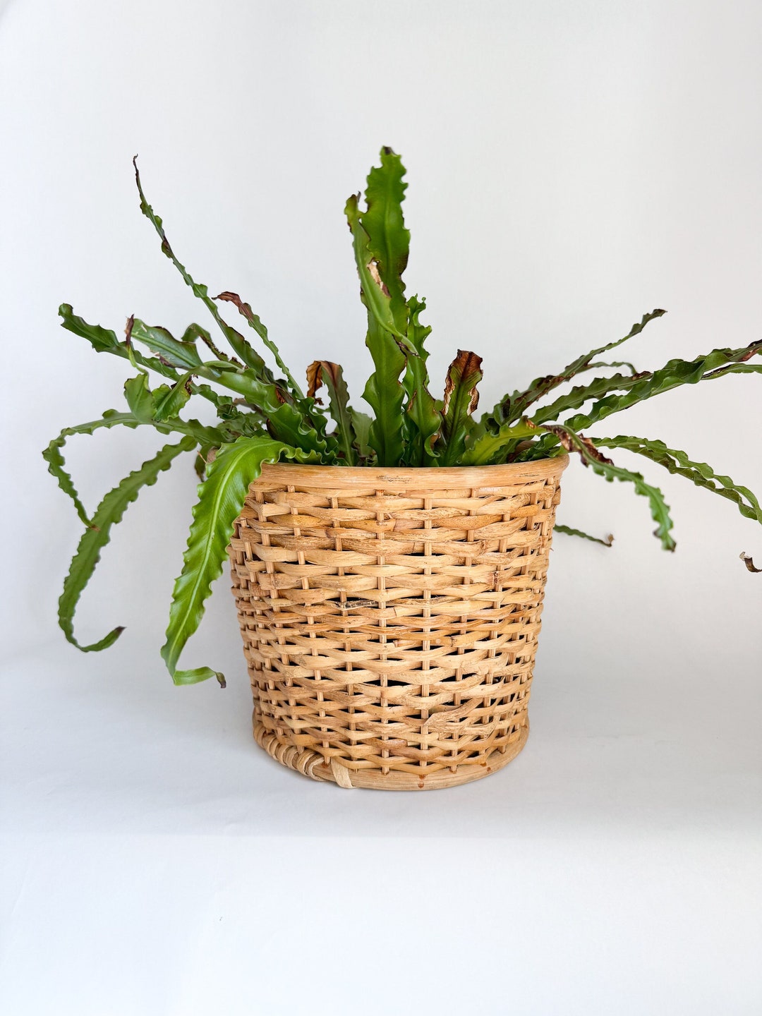 Vintage Bamboo Rattan Planter Basket – Wicker Waste Basket, Boho Decor ...