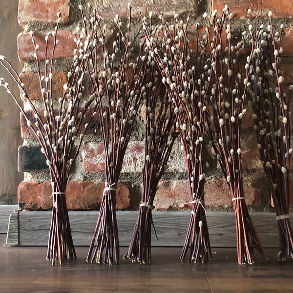 Willow Branches - Etsy