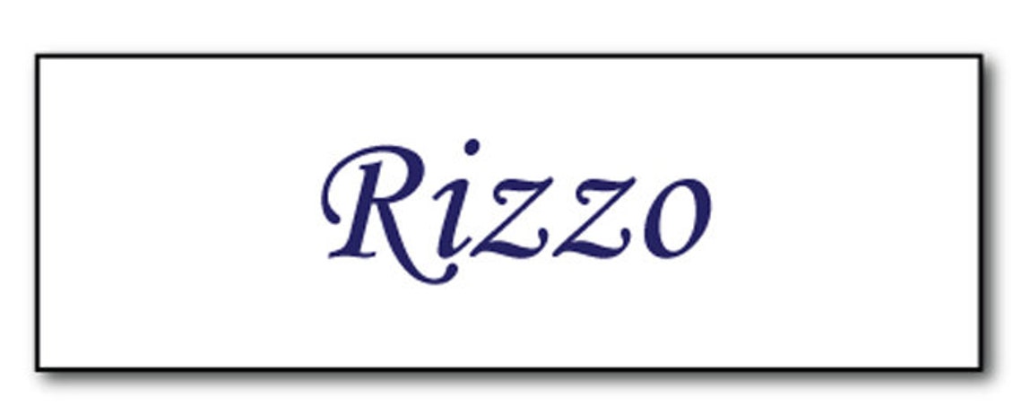 GREASE RIZZO PINK Ladies Halloween Costume or Cosplay Name - Etsy