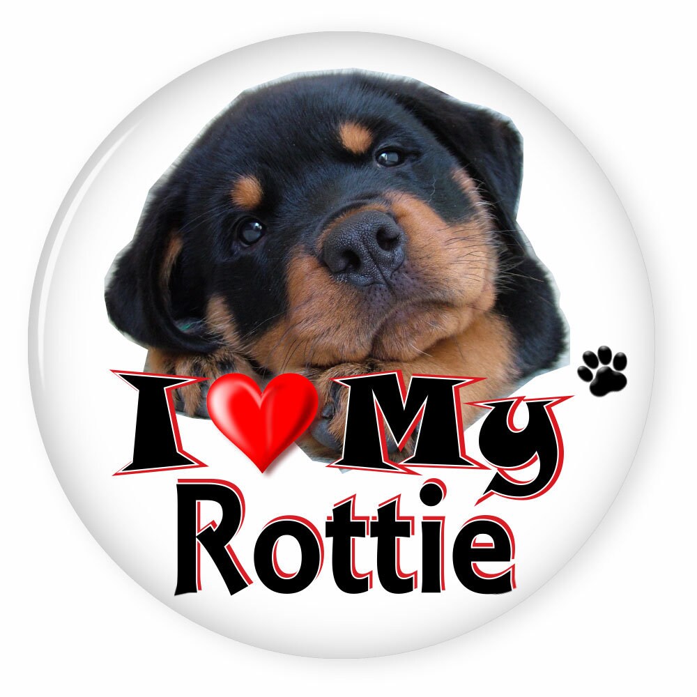 I Love My Rottweiler Dog Puppy 3 CAMPAIGN Pin Back | Etsy