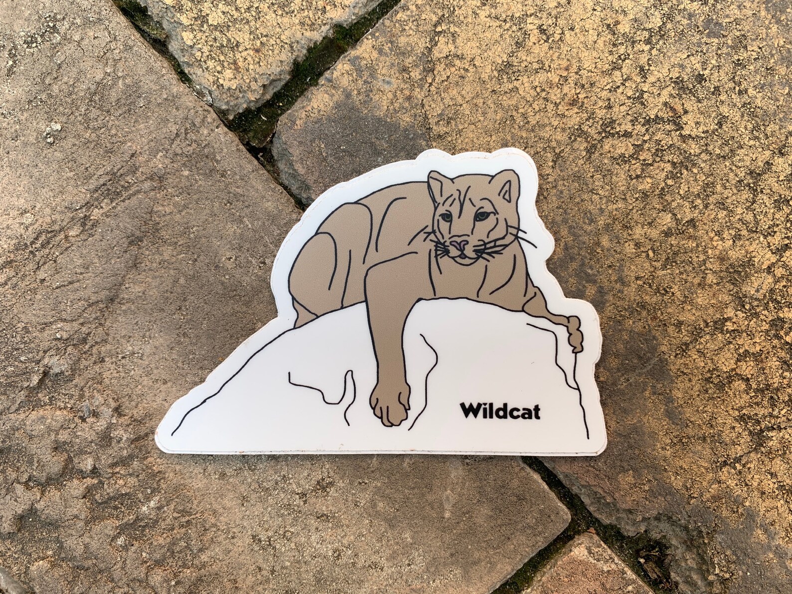 Wildcat Sticker | Etsy