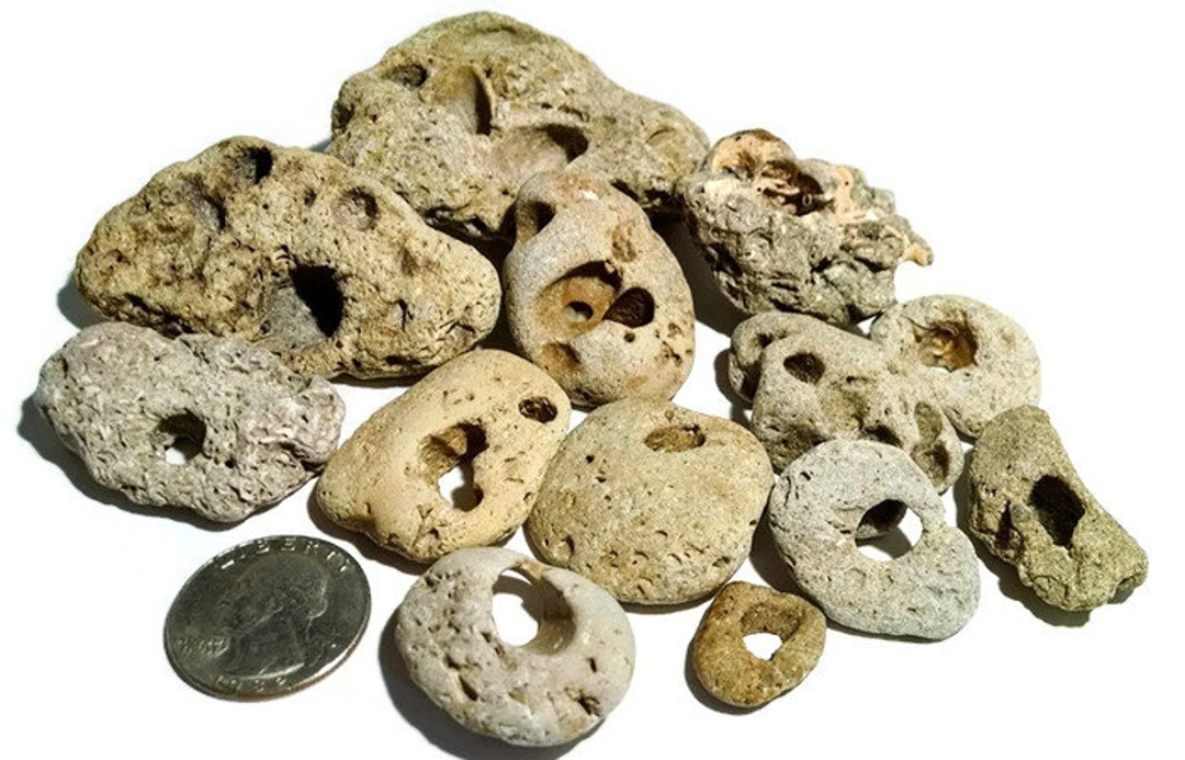Hag Stone SMALL hand Collected, Beach Stone, Witch Stone, Holey Stone ...