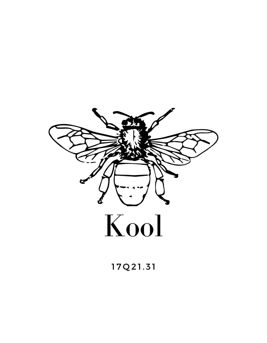 BEE KOOL - KDVS Shirt - Etsy