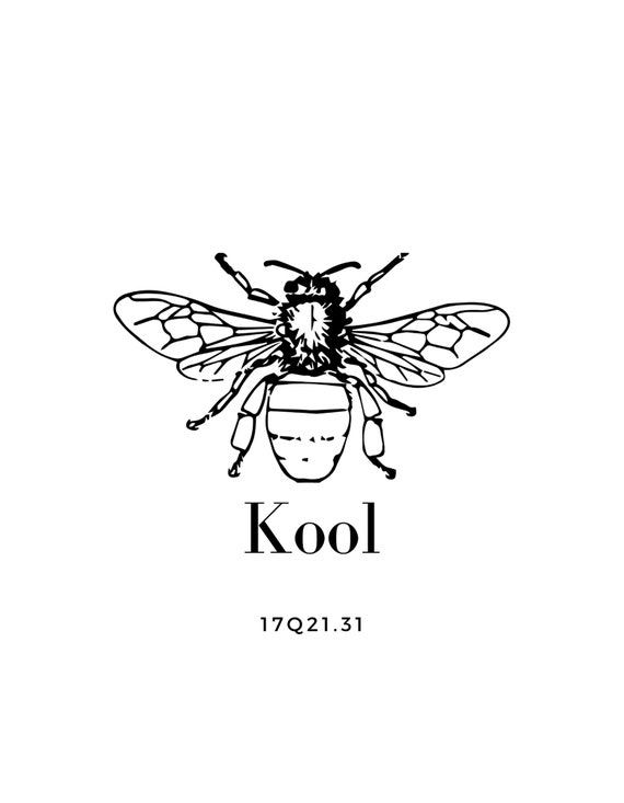 BEE KOOL KDVS Shirt - Etsy