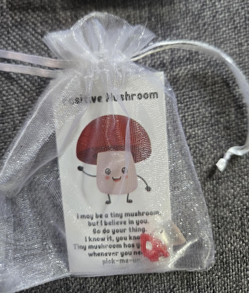 Pocket Positivity Animal Figurine With Message Card: Self-care Gift - Etsy