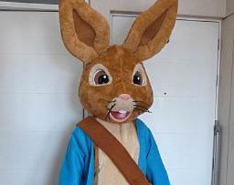 Peter rabbit costume | Etsy
