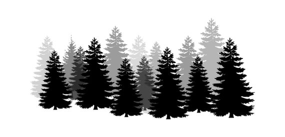 Pine Tree Silhouette