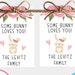Some Bunny Loves You Easter Tag Template, Easter Bunny Tag Personalized ...