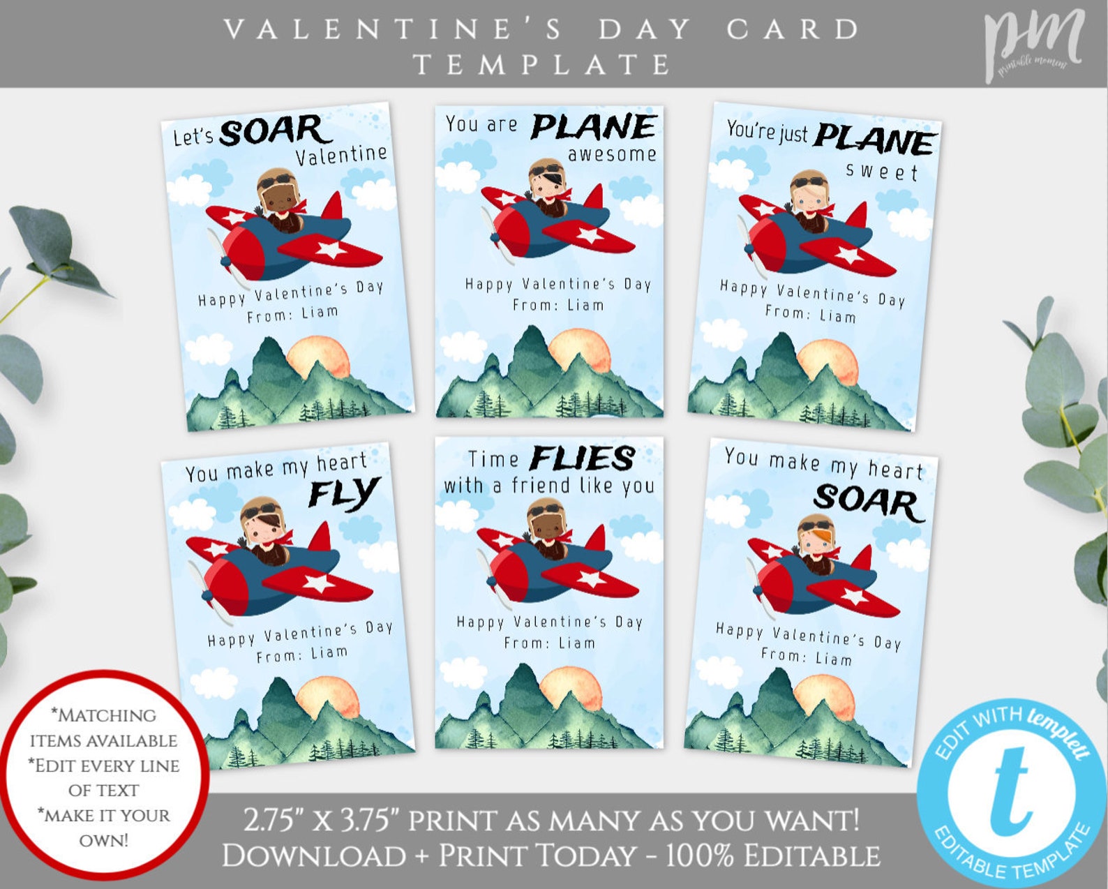 Airplane Valentines Day Card Template Pilot Valentines Cards - Etsy