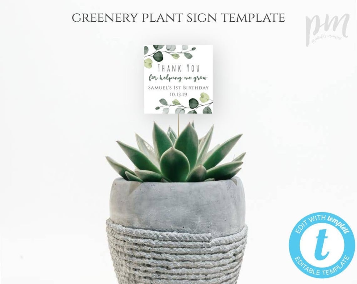 Watch Me Grow Plant Sign Template, Succulent Favor Tag Template, First ...