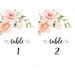 Peach + Blush Pink Floral Wedding Table Number Template, Watercolor ...