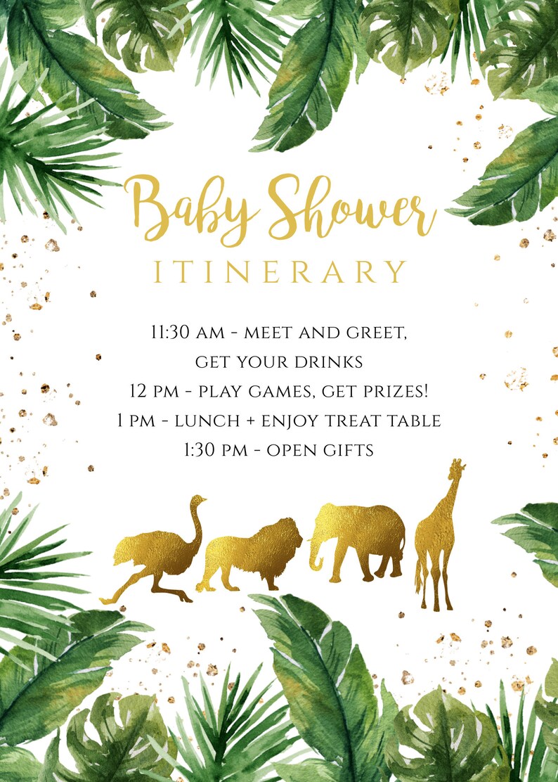 Baby Shower Itinerary Template Printable Safari Itinerary Etsy