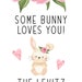Some Bunny Loves You Easter Tag Template, Easter Bunny Tag Personalized ...