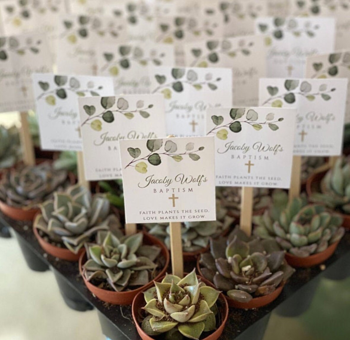 1st Communion Faith Plants the Seed Love Makes It Grow Favor Tag ...