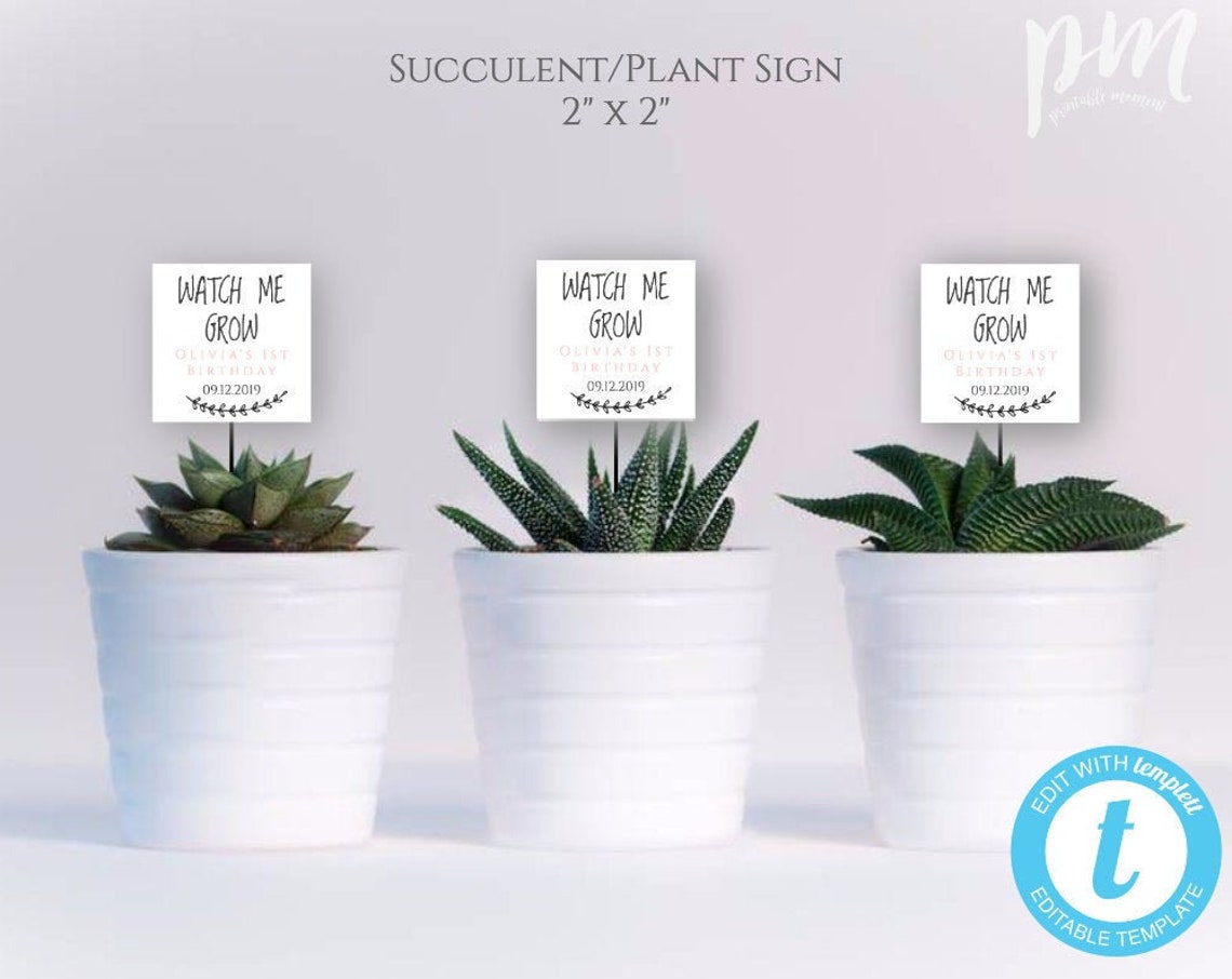 Watch Me Grow Plant Sign Template, Succulent Favor Tag Template, Baby ...