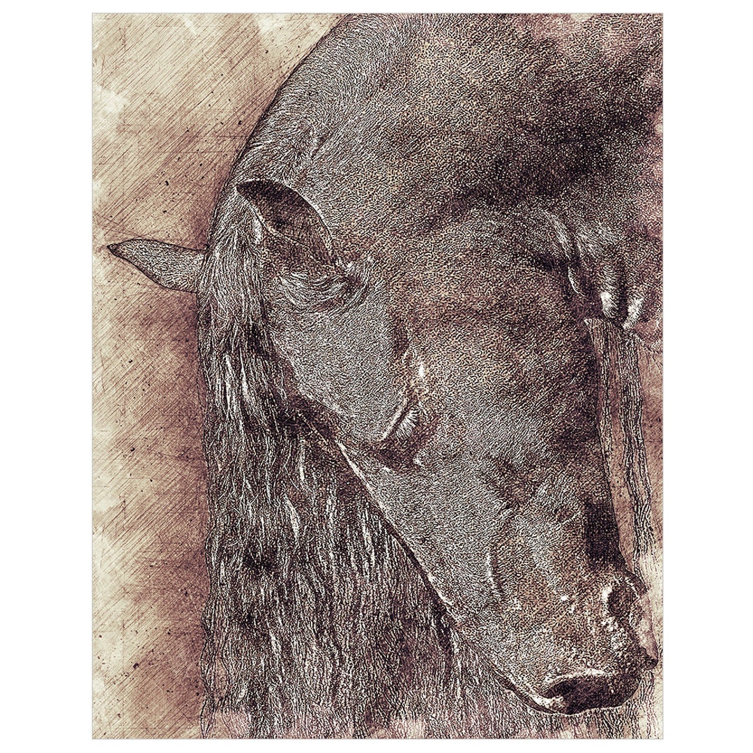 Friesian Horse- Art Print -11 X 14 Unframed Print - Animal Lover - Etsy