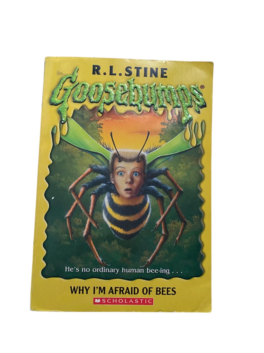 Goosebumps ~why I'm Afraid of Bees ~ by R. L. Stine ~ Paperback Vintage ...