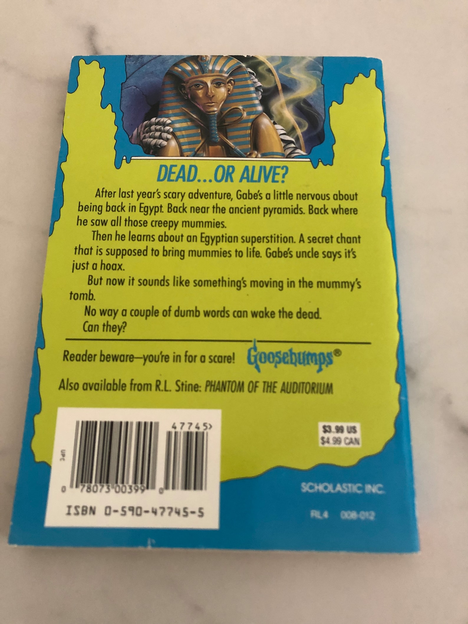 Goosebumps return of the Mummy r.l.stine Vintage Book 23 - Etsy