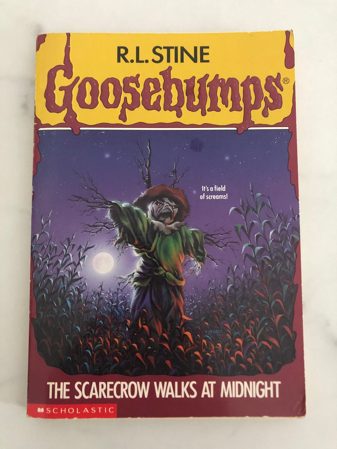 Goosebumps the Scarecrow Walks at Midnight R.l.stine Book 20 - Etsy