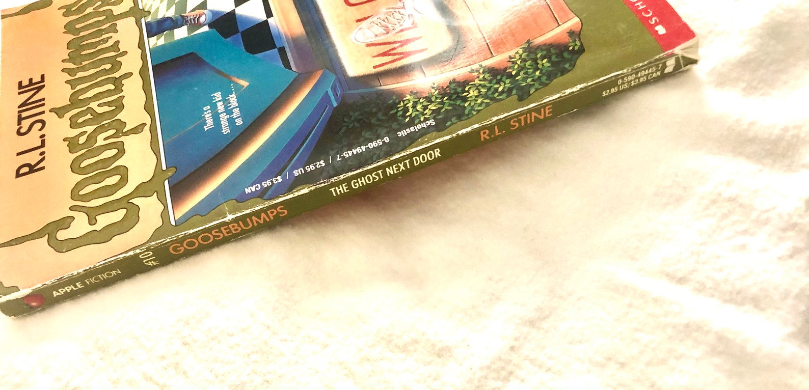 Goosebumps #10 “the Ghost Next Door” R.l.stine, Vintage Book 1993 - Etsy