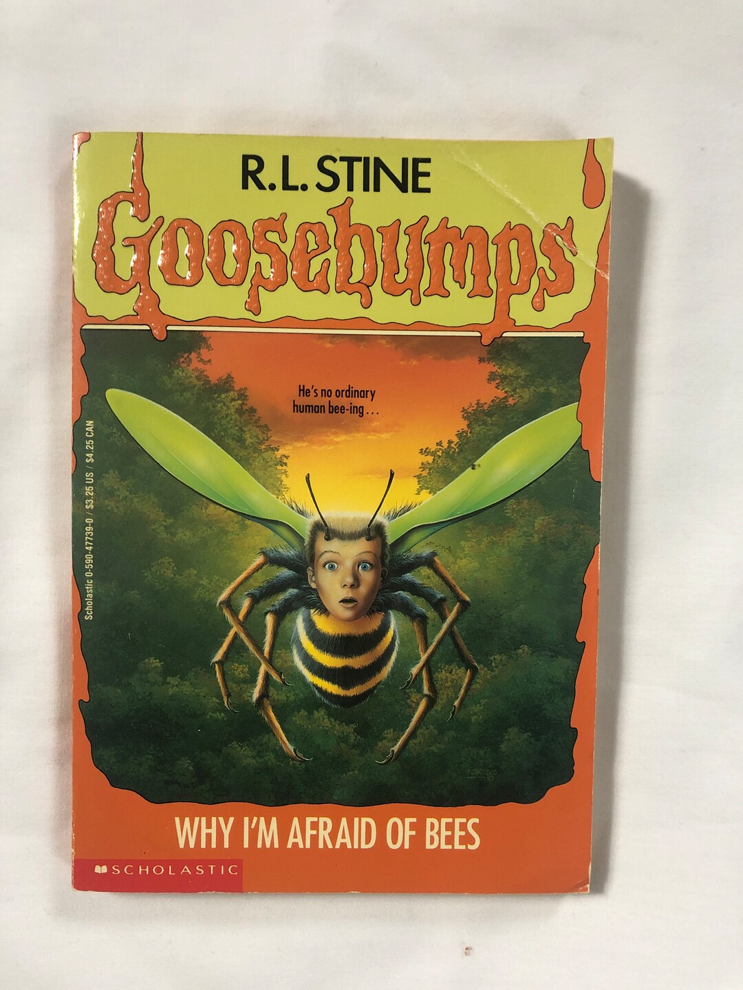 Goosebumps #17 “why I’m Afraid of Bees” by R.L. Stine , Vintage ...