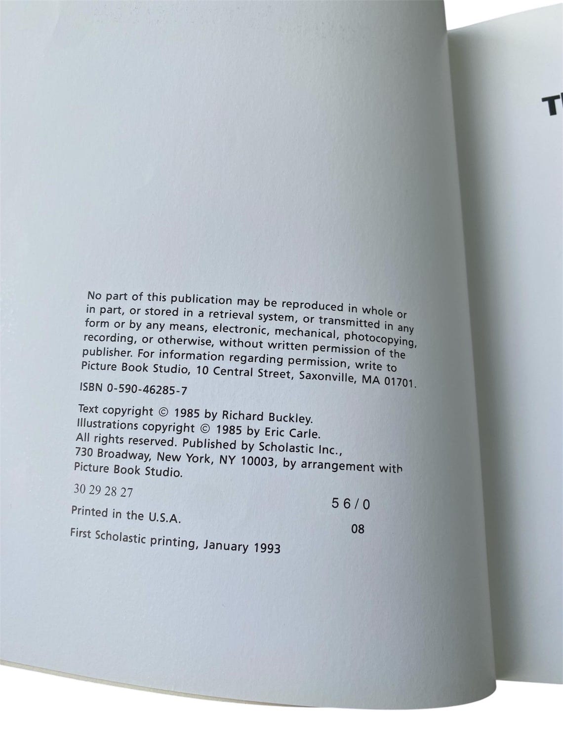 The Foolish Tortoise ~ by Eric Carle ~ Vintage Scholastic Paperback ...