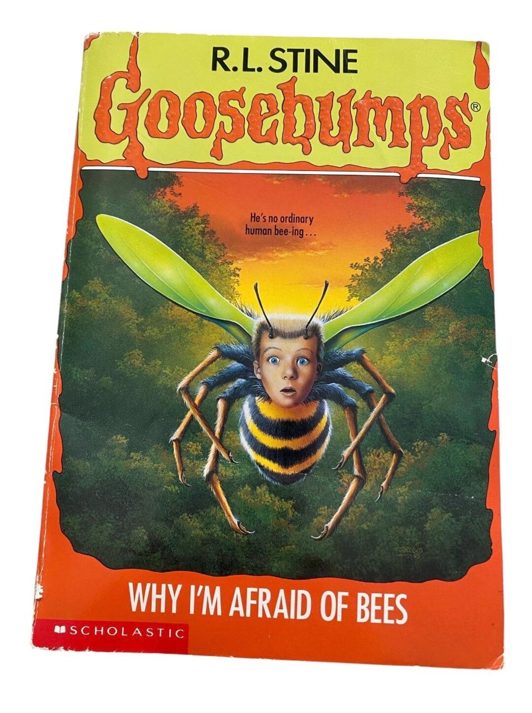 Goosebumps #17 ~ Why I’m Afraid of Bees ~ R.L. Stine Vintage Book 1994 ...