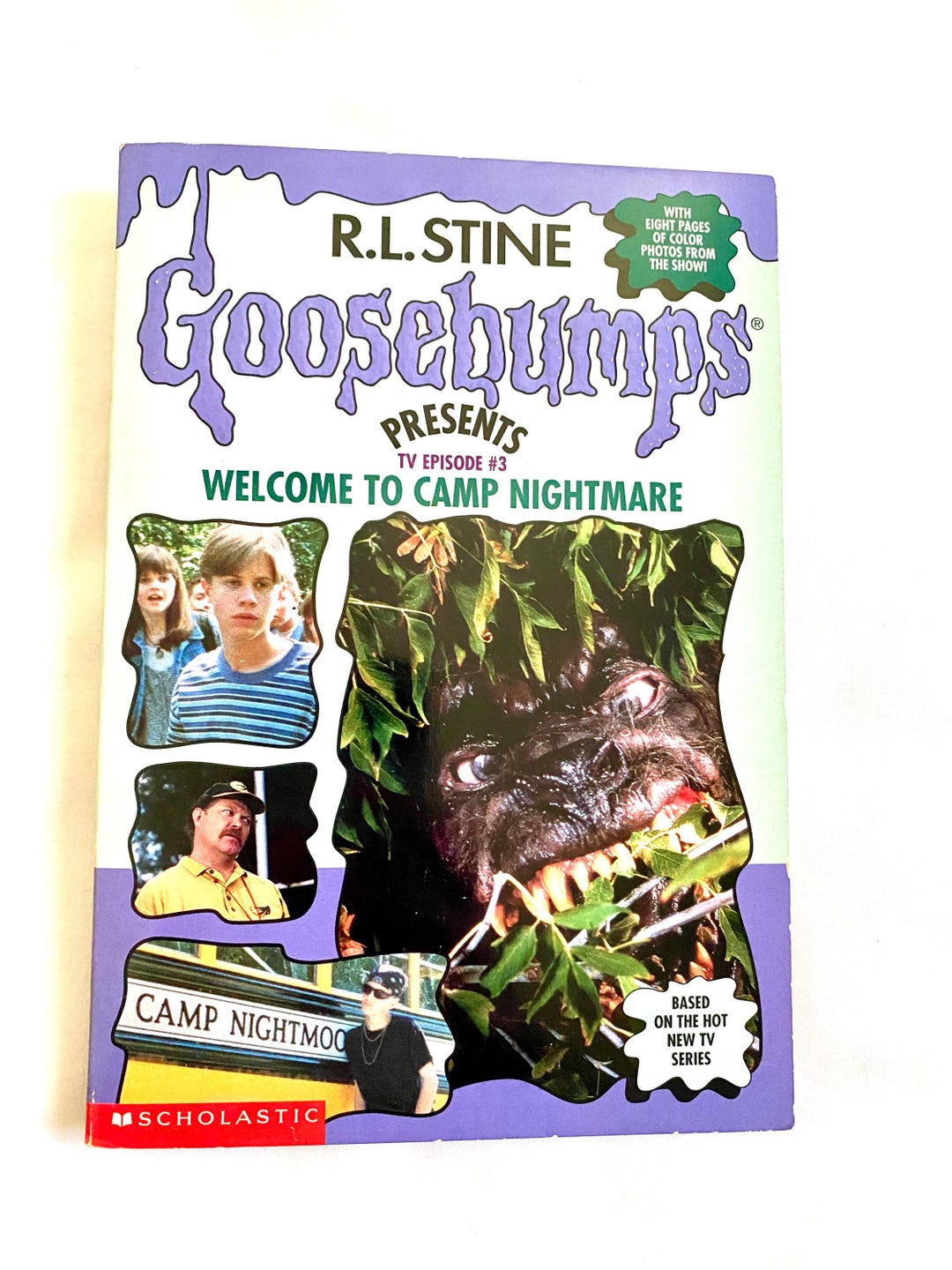 Goosebumps Presents TV Episode 3 Welcome to Camp Nightmare by R.L ...