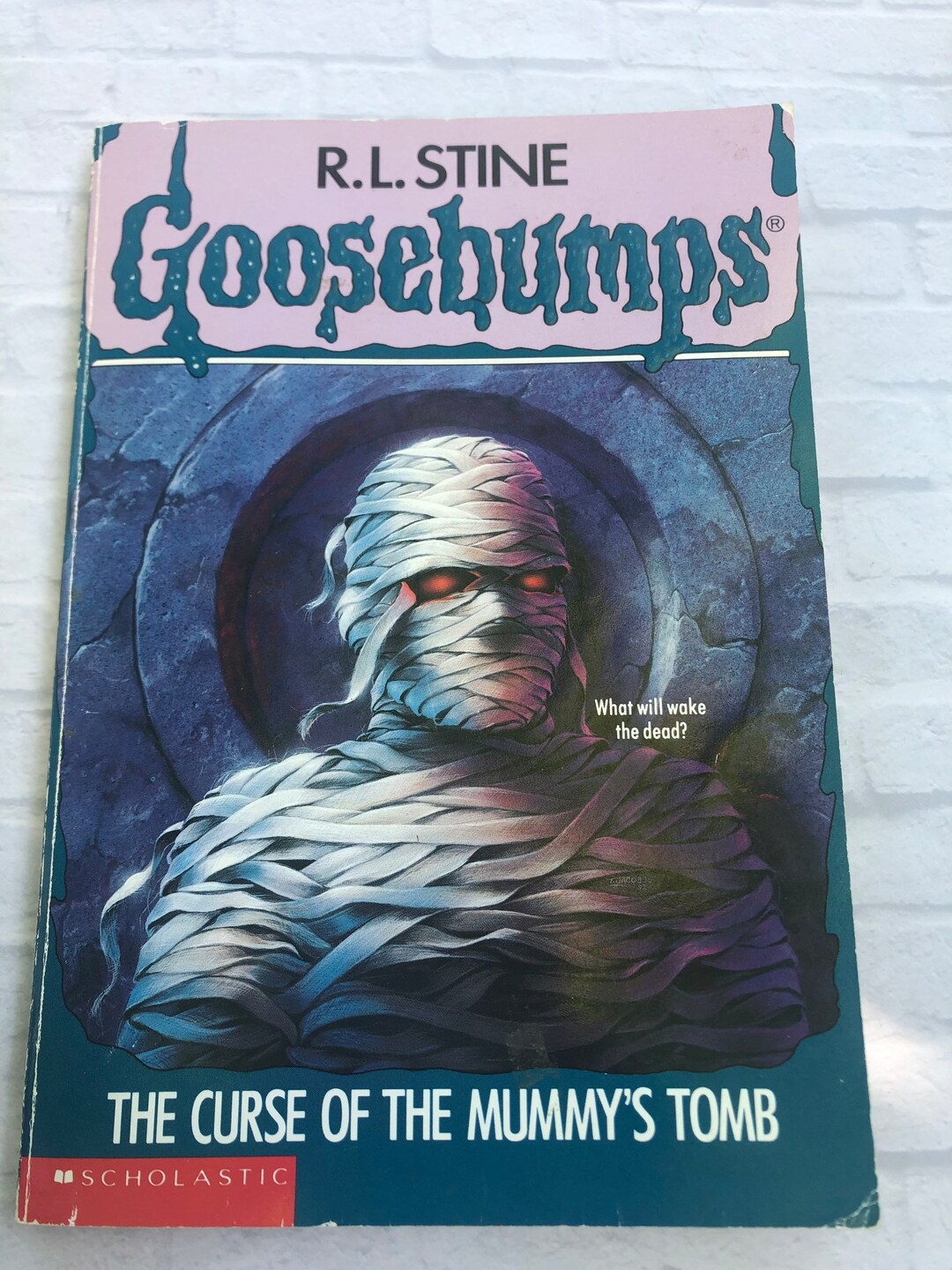 Goosebumps # 5 the Curse of the Mummy’s Tomb by R. L. Stine 1993 - Etsy