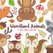 Woodland Animals Clipart, Forest Animal Clip Art, Wild Cute Colorful ...