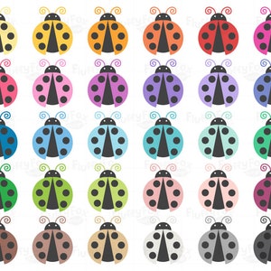 Ladybug Clipart, Lady Bugs Clip Art, Ladybugs Insect Cartoon Animal Bug ...