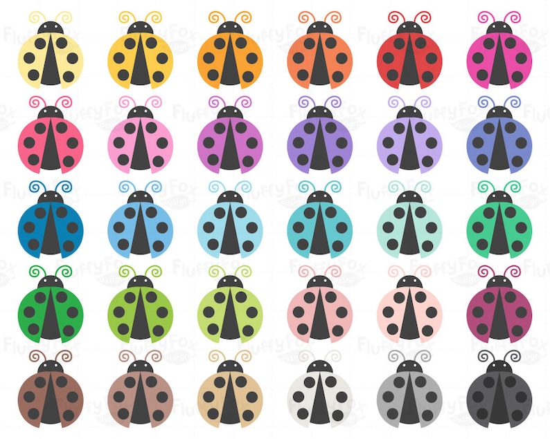 Ladybug Clipart Lady Bugs Clip Art Ladybugs Insect Cartoon | Etsy