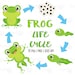 Frog Life Cycle Clipart, Pond Animals Clip Art, Tadpole Froglet School ...