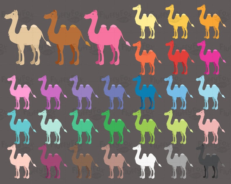 Camel Clipart Camels Cartoon Clip Art Hump Day Cute Colorful - Etsy