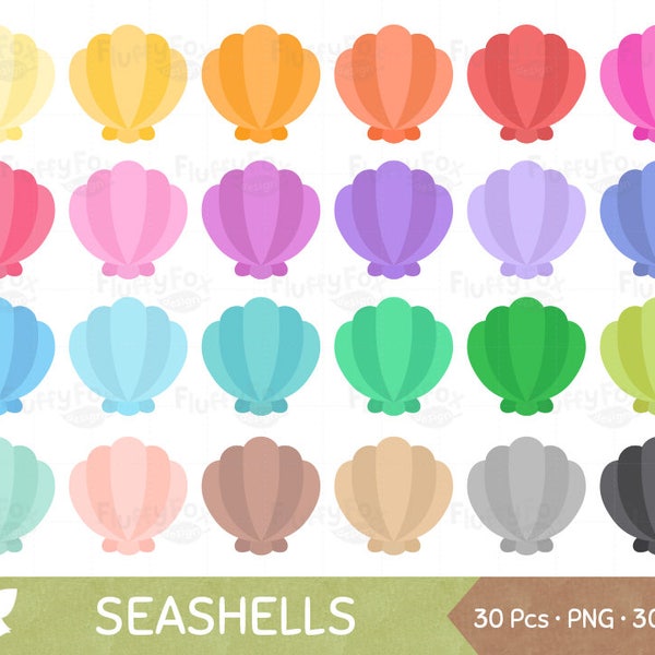 Shell Clipart - Etsy