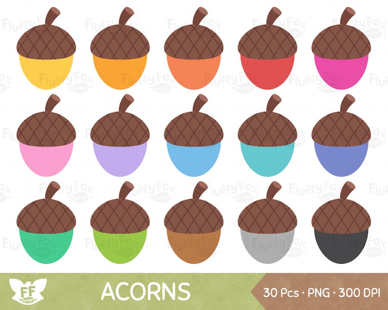 Acorns Clipart Acorn Clip Art Autumn Cliparts Nut Fall | Etsy