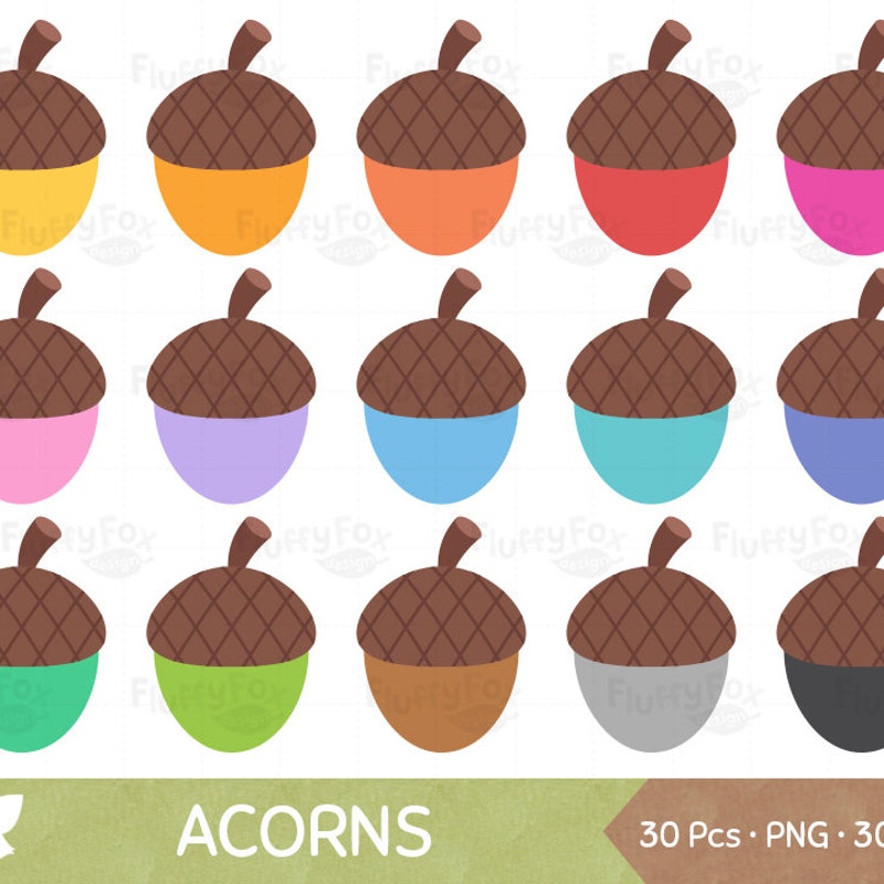 Colorful Acorns - Etsy