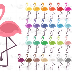 Flamingo Clipart, Flamingos Clip Art, Tropical Bird Wildlife, Rainbow ...