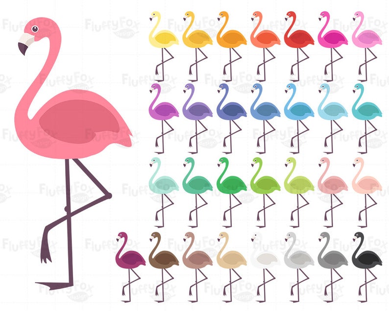 Flamingo Clipart Flamingos Clip Art Tropical Bird Wildlife - Etsy