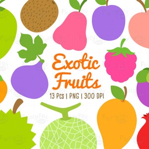 Exotic Fruit Clipart, Tropical Fruits Clip Art, Melon Raspberry Peach ...