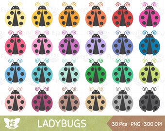 Cute Bugs Clip Art - Etsy
