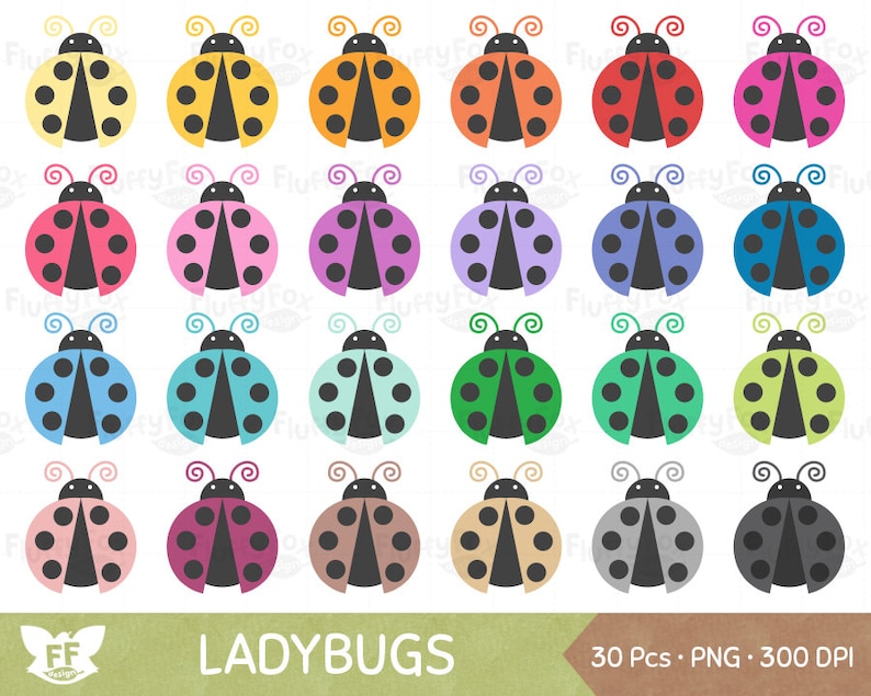 Ladybug Clipart Lady Bugs Clip Art Ladybugs Insect Cartoon - Etsy